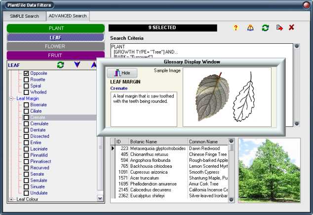 Plantfile Pro
