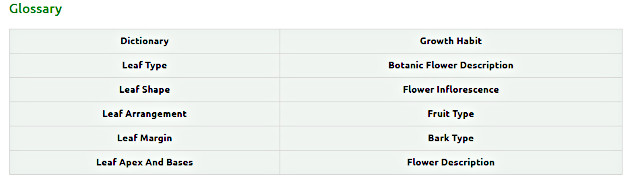 PlantFile - the ultimate guides to plants