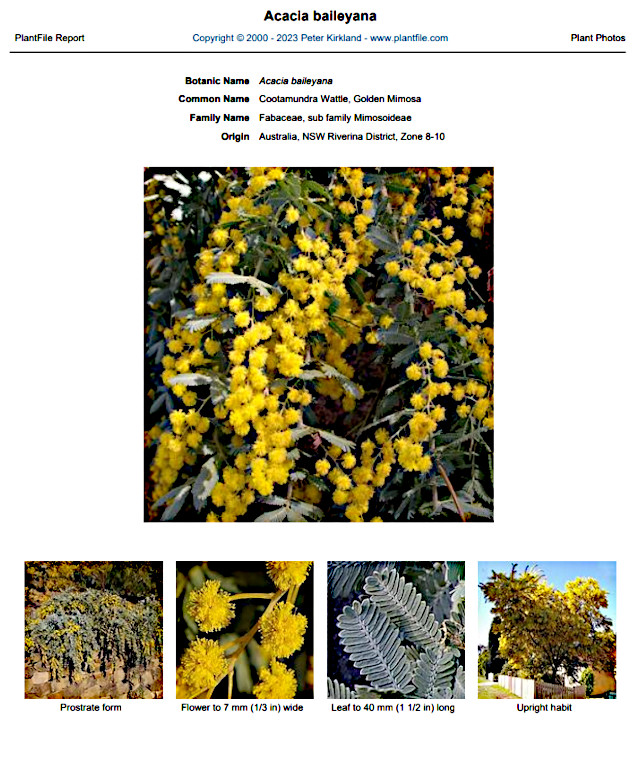 PlantFile - the ultimate guides to plants