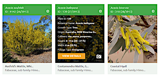 PlantFile - the ultimate guides to plants